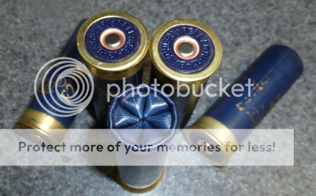 SW HULLS = All the Same? | Shotgun Forum