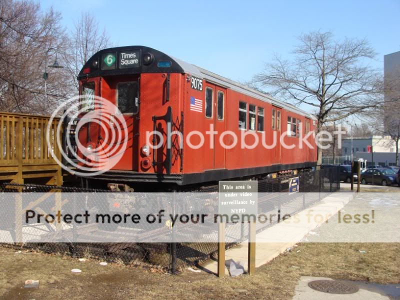 PHOTOS: Redbird on the 6.....